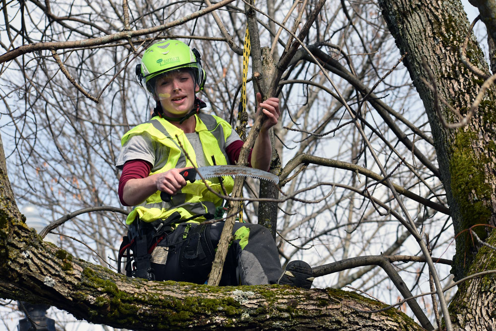 Service with a saw | News, Sports, Jobs - Adirondack Daily Enterprise